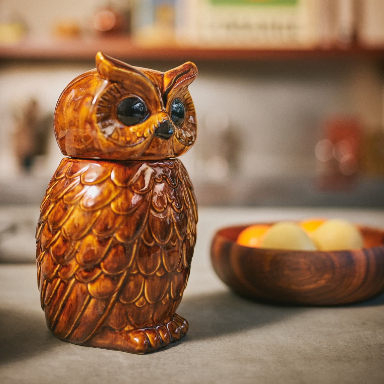 Ceramic owl jar roasted